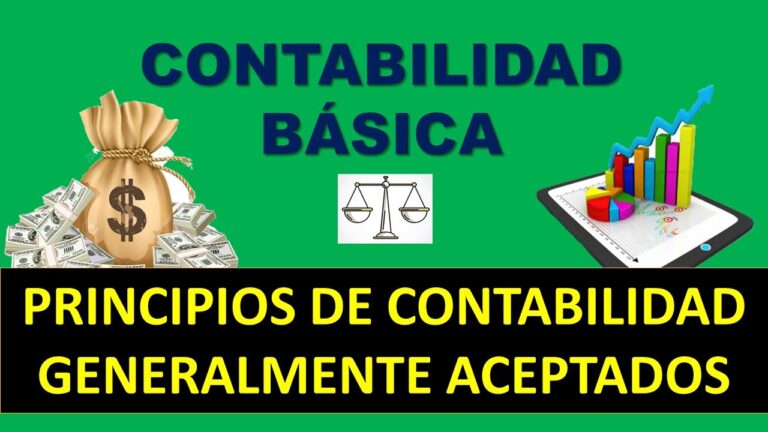 Descubre los Principios Básicos de la Contabilidad: Guía Completa para ...